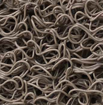 Spiral Loop Entrance Mat | Warehouse of Mats